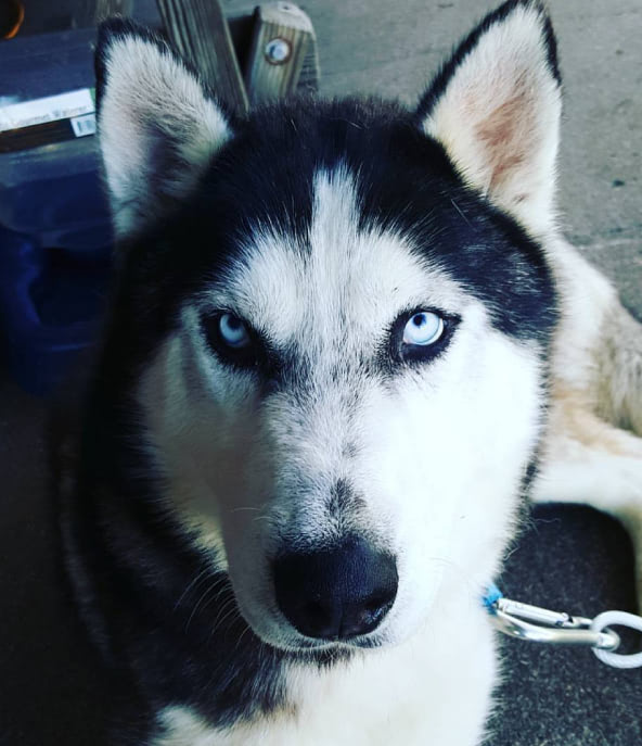 About Us | Normal Bear Media | Marketing Agency